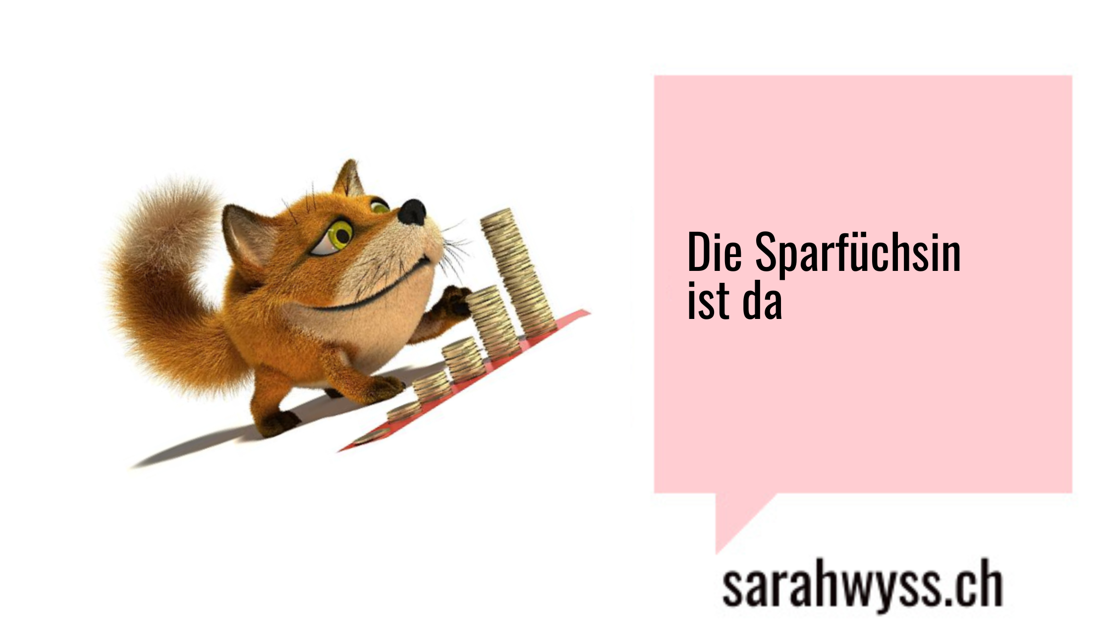 Die Sparfüchsin ist da - Sarah Wyss